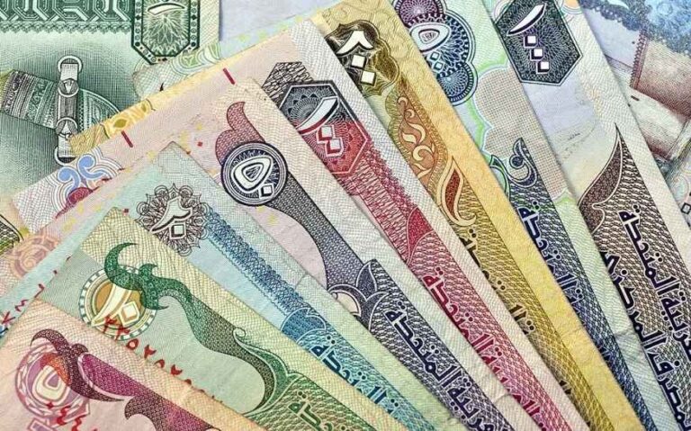 Beginners Guide on Emirati Dirham - Emirati Times