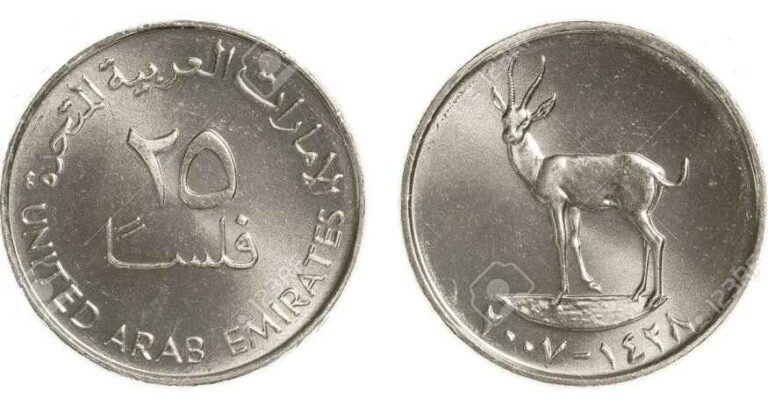 Beginners Guide on Emirati Dirham - Emirati Times