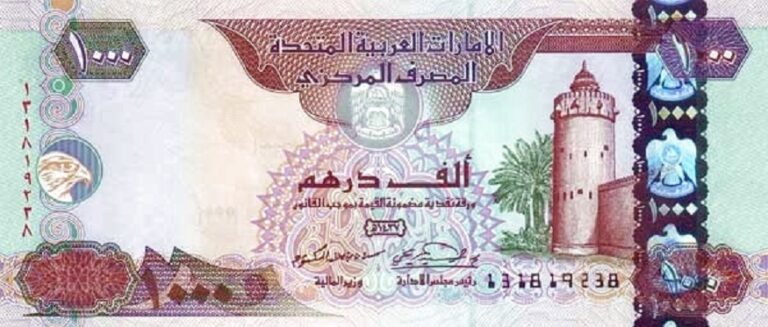 Beginners Guide on Emirati Dirham - Emirati Times