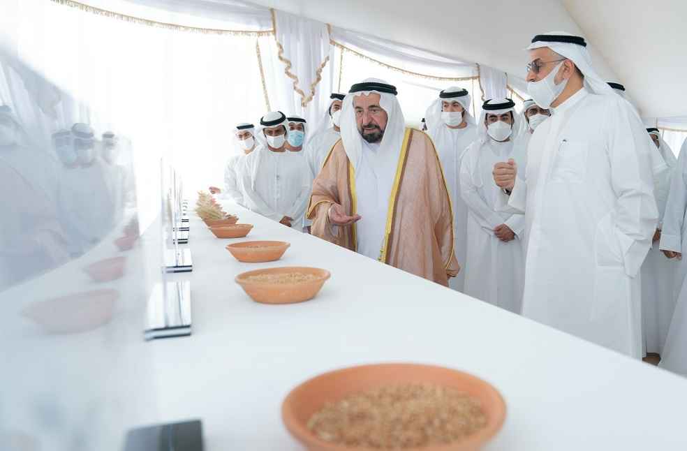 Sharjah Ruler unveils Wheat Farm Project in Mleiha - Emirati Times