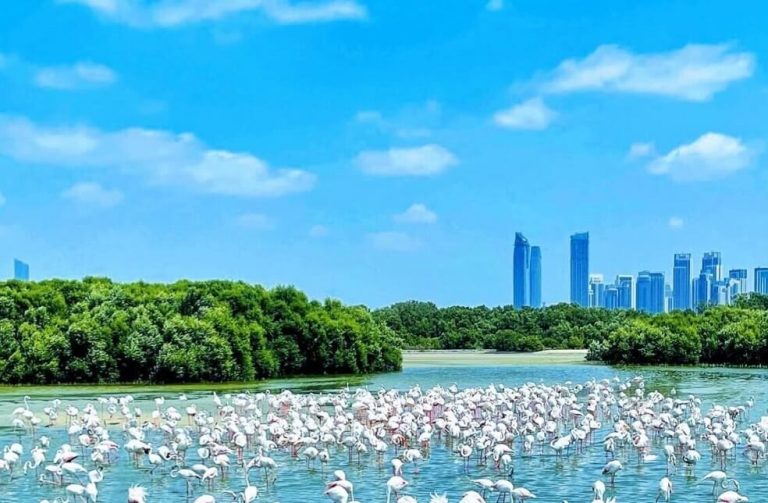 ADSG celebrates 15 years- Emirati Times