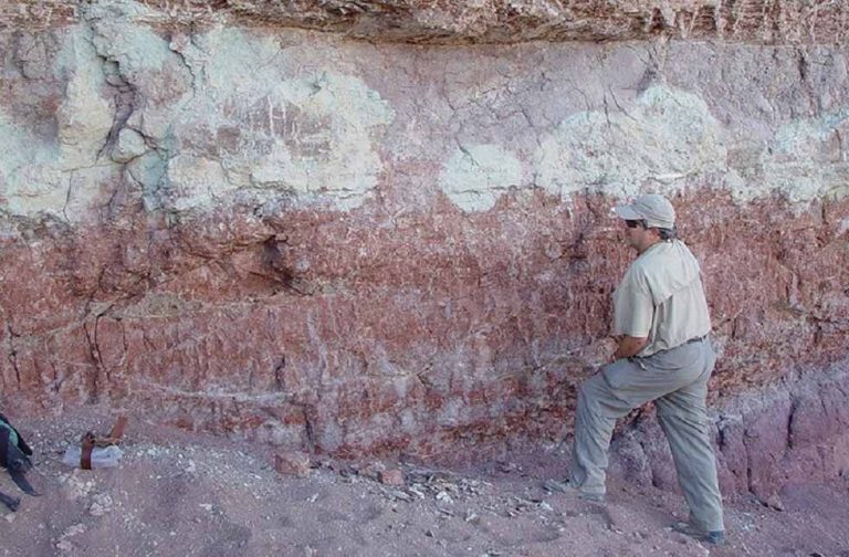 Unearthing the past: Utahraptor fossils redefine dinosaur timeline by ...