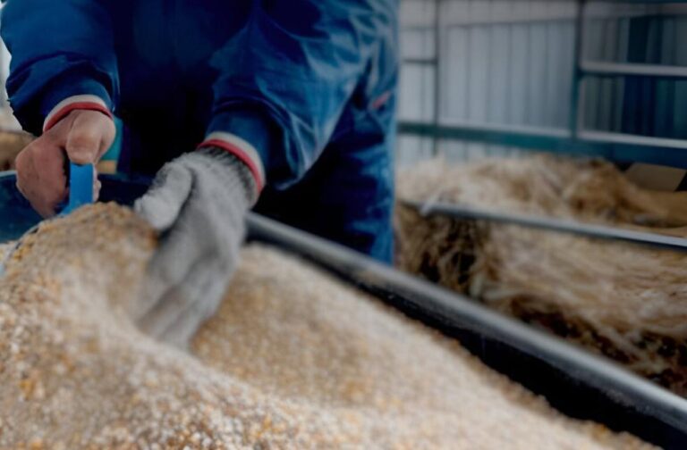 ADIO invites bids for animal feed market projects - Emirati Times