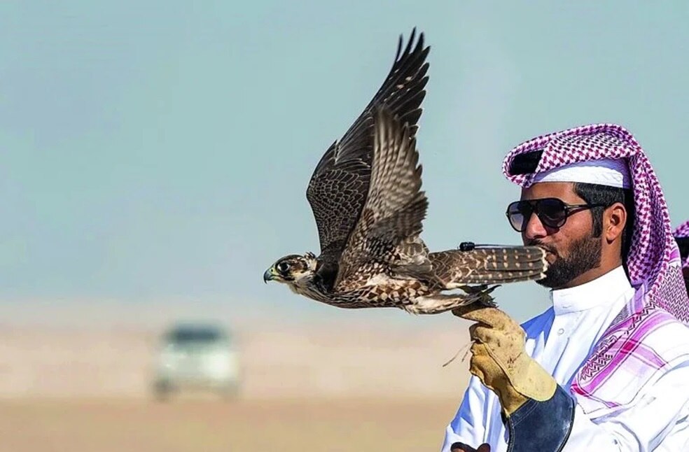 Abu Dhabi reinforces hunting regulations for the Falconry Season ...