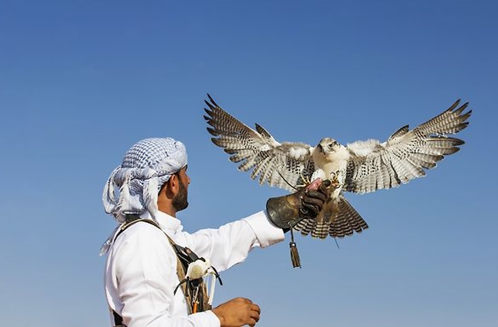 Abu Dhabi reinforces hunting regulations for the Falconry Season ...