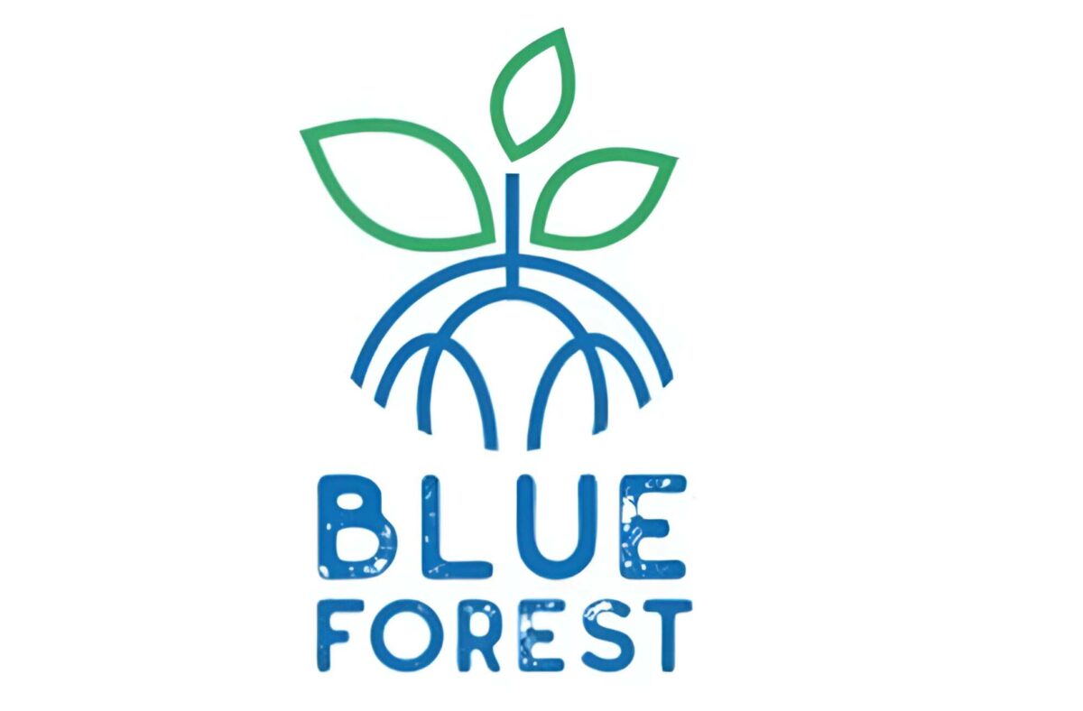 Blue Forest Launches Largest Mangrove Project in Mozambique