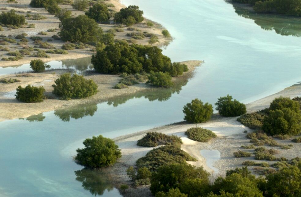 Abu Dhabi innovates with Enhanced Climate Transparency Framework