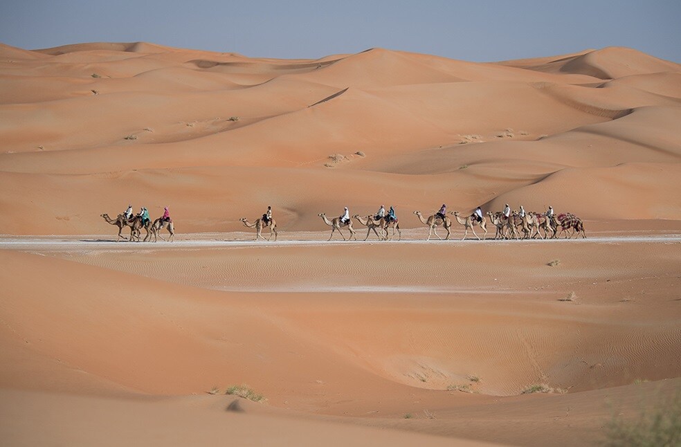 13-Day Desert Odyssey: UAE Camel Trek highlights tradition and unity