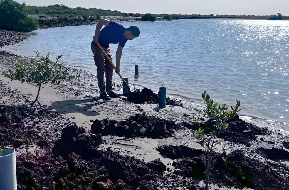 EPAA completes Mangrove Planting Program
