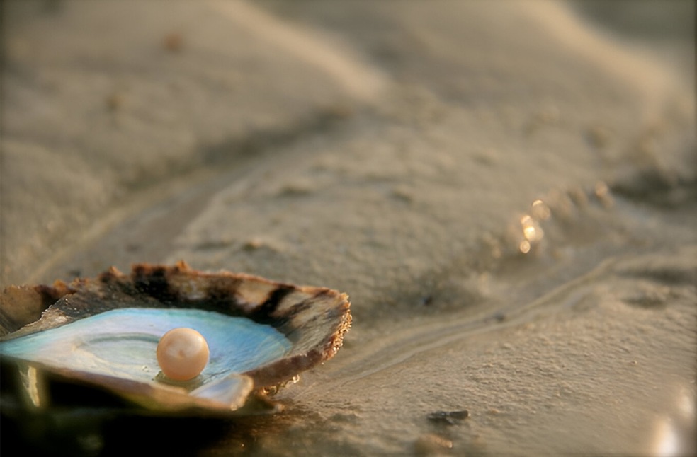 Abu Dhabi unveils inaugural Pearls Festival to celebrate Heritage