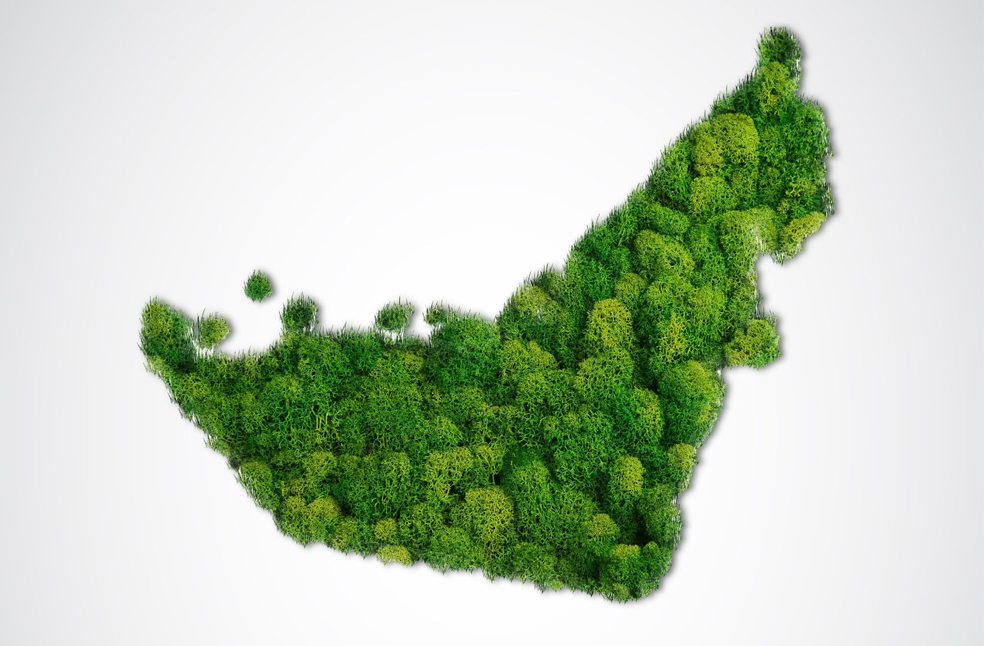 UAE marks 28th National Environment Day