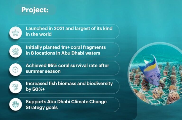 Abu Dhabi scales up coral reefs rehabilitation project