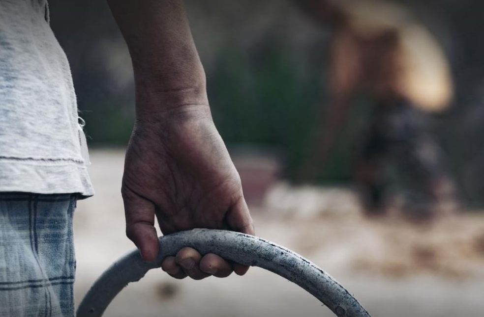 World Day Against Child Labor: UAE urges global action