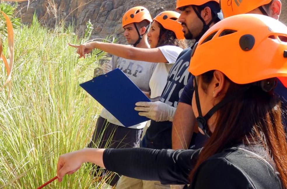 ‘Sprint for Change’ ignites UAE’s summer with bold climate action ...