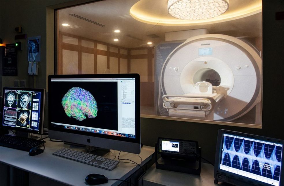 NYUAD research links RNA to brain growth, mental disorders - Emirati Times