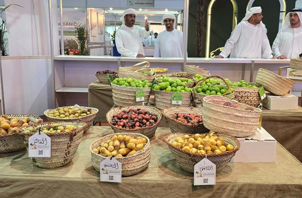 Al Dhaid Date Festival gathers UAE farmers and producers