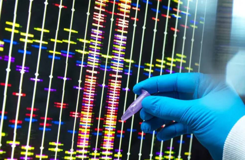 Genetic test can predict obesity in children before age 5