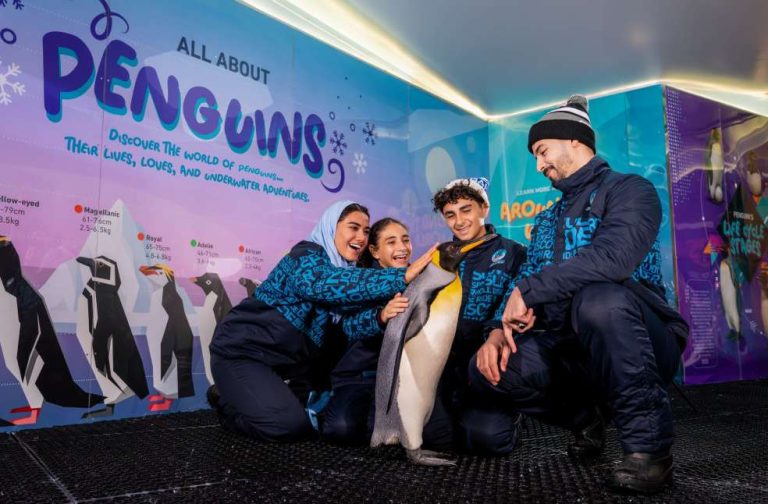 Ski Dubai launches Ultimate Penguin Experience
