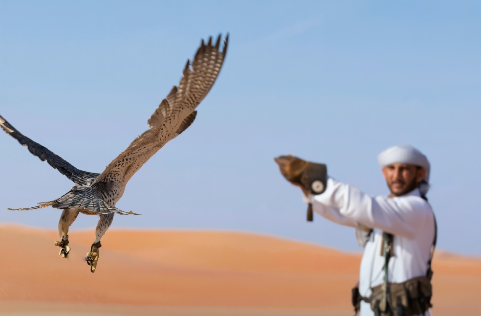 EAD extends falconry season to protect traditional sport