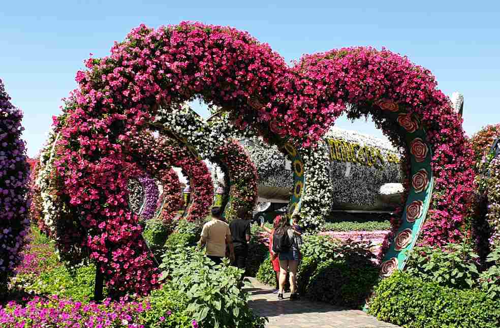Born from desert: The blooming history of Dubai Miracle Garden ...