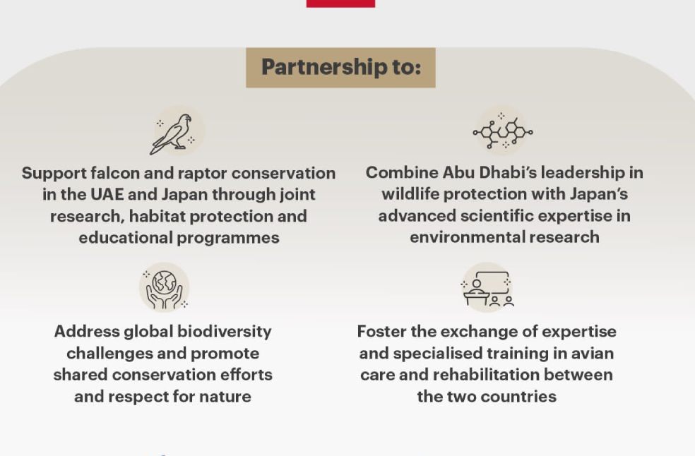 UAE raptor conservation partnership expands with Japan