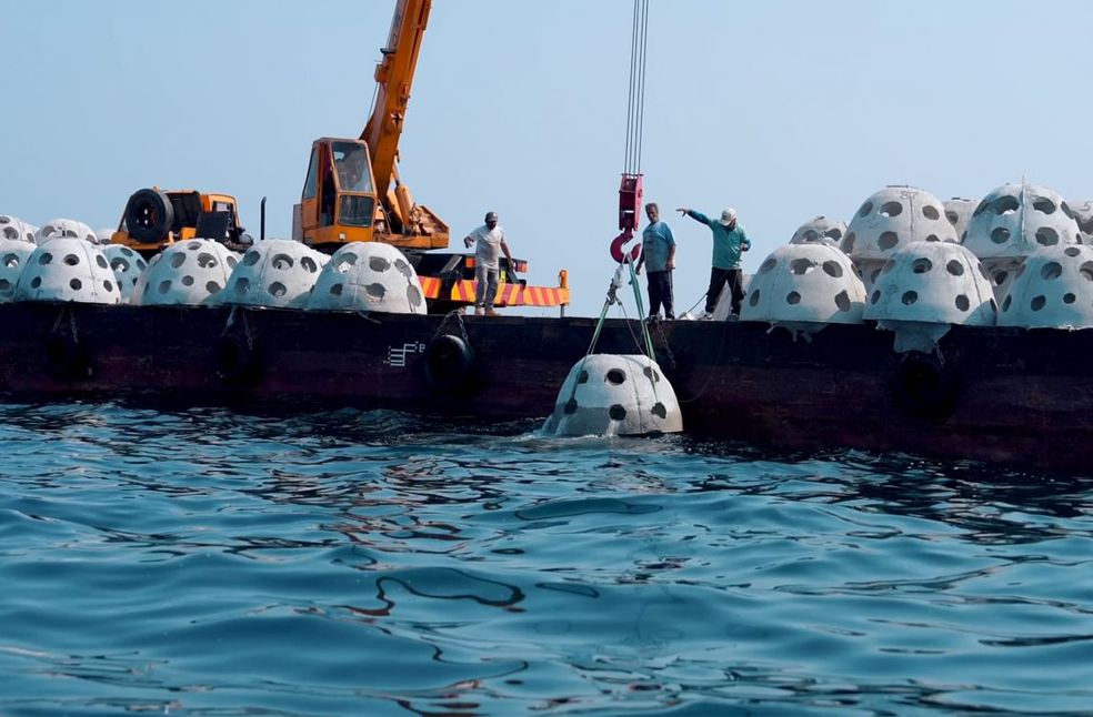 MoCCAE installs artificial reefs to boost UAE marine life - Emirati Times
