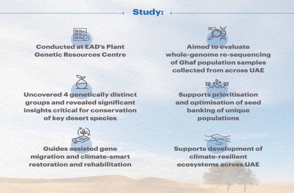 Ghaf tree study reveals new genetic insights for UAE conservation
