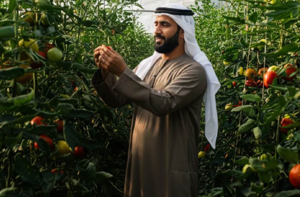 ADRA reports 29% rise in agricultural licenses