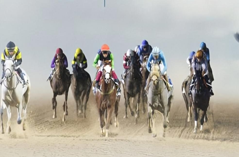 Meydan Racecourse hosts 11th trial race with 40 horses