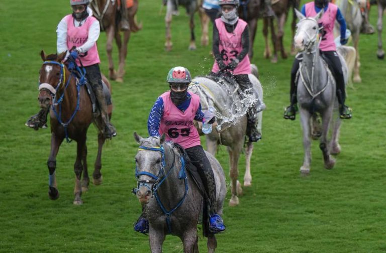 Sheikh Mohammed bin Rashid Al Maktoum Endurance Festival