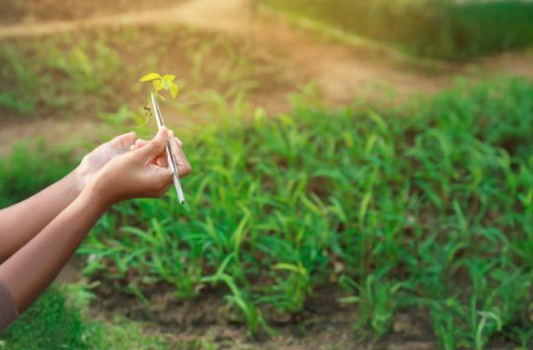 UAE Government updates quarantine, biodiversity protection laws