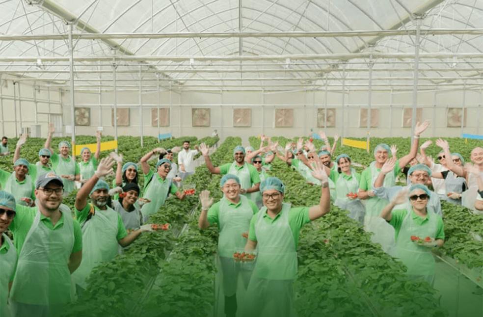UAE FoodTech Challenge drives innovation in food security - Emirati Times
