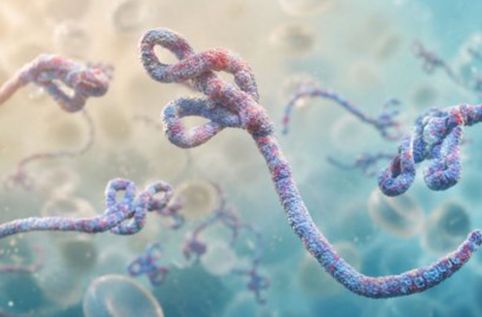 MoHAP assures public as UAE remains Ebola-free - Emirati Times